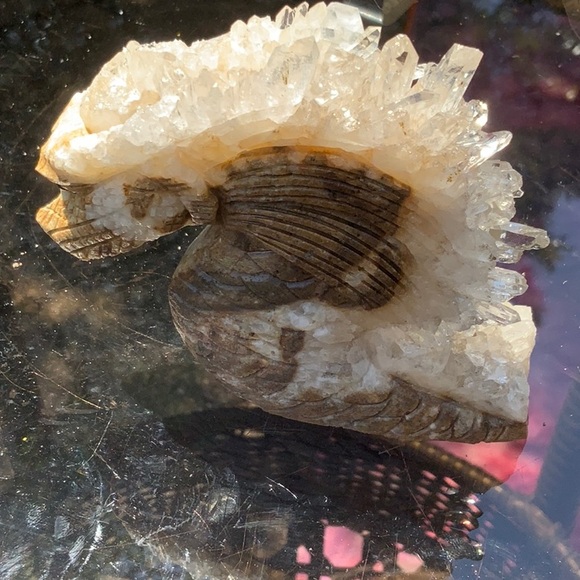 Shellys Boutique | Other | Quartz Crystal Cluster Hand Carved Dragon ...